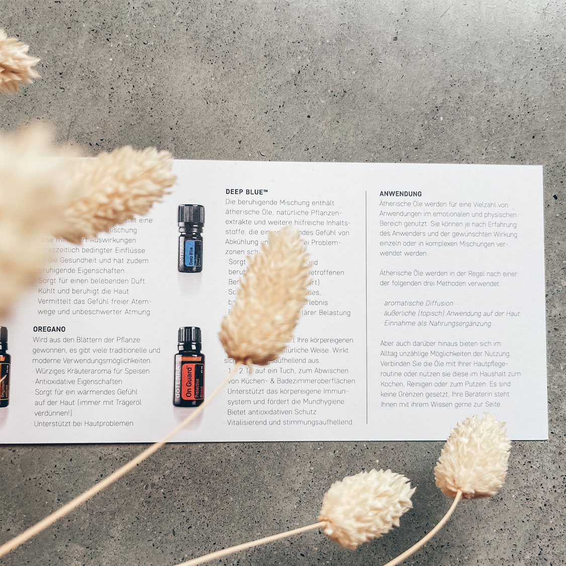 Imageflyer doterra – Enzensberger-Living